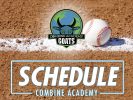 Best Post Grad Baseball Programs | College Baseball Academy North ...